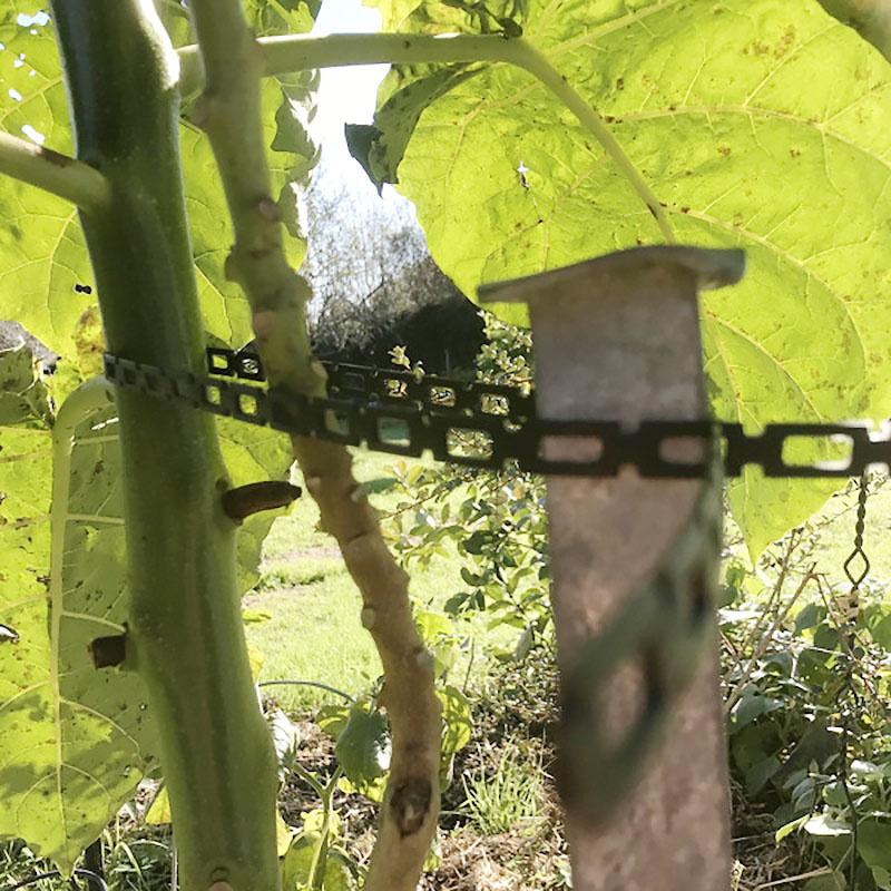 Tree tie- soft rubber webbing